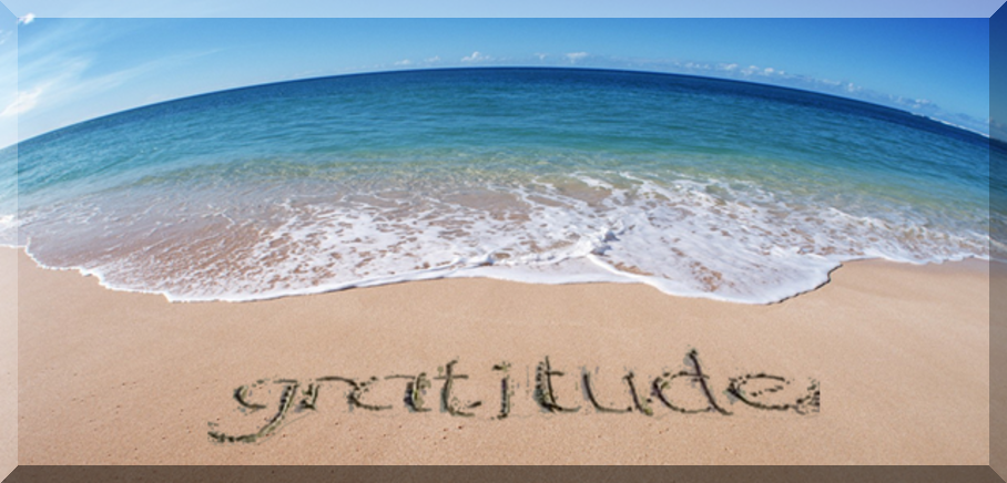 Practicing Gratitude – Michelle Stortz